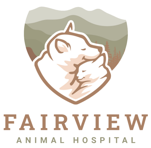 Best Vet Hospital In Fairview, NC | Fairview Animal Hospital