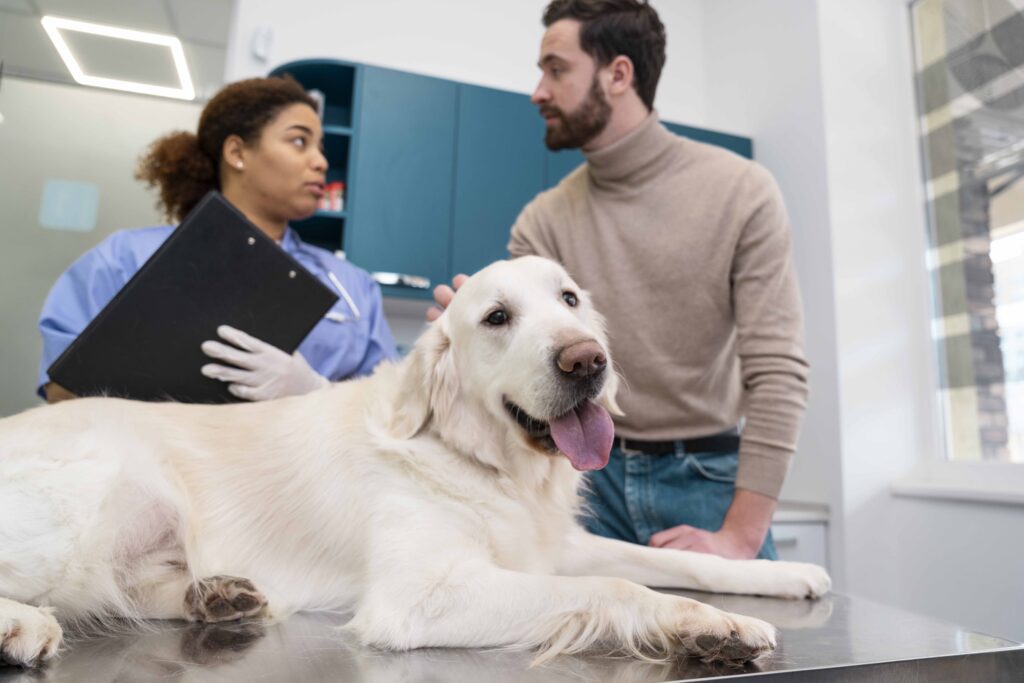 Pet In-House Lab In Fairview, NC 28730 | Fairview Animal Hospital